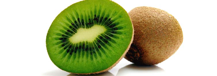 Ακτινιδια Ακτινιδιο kiwi greece