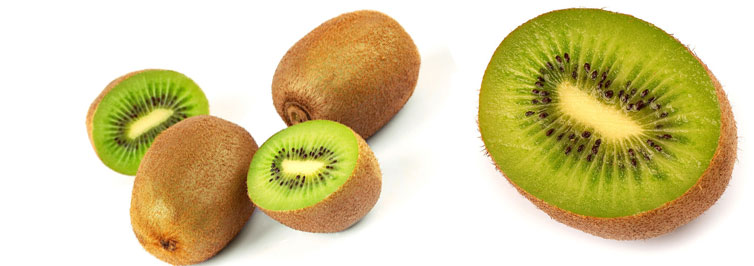Ακτινιδια Ακτινιδιο kiwi greece